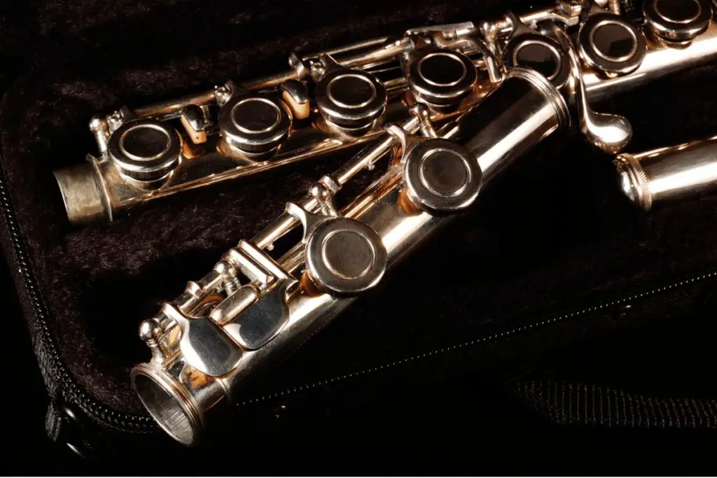 Types Of Flute Explained (Listening Examples Inside) – Dynamic Music Room
