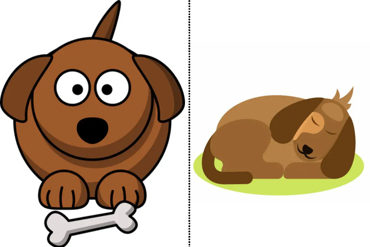 Bow Wow Wow Folk Song, Game, And Lessons – Dynamic Music Room