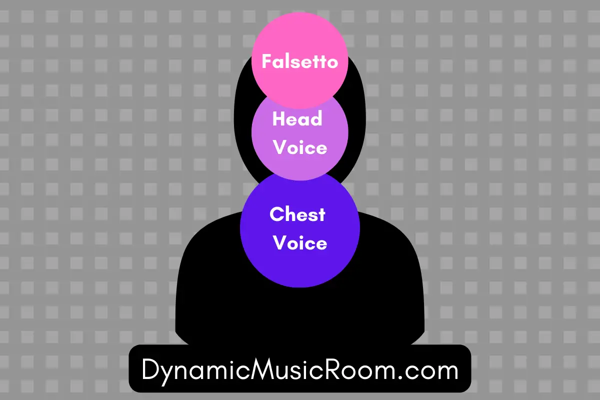 Head Voice Vs. Falsetto: Chart, Tips, And Answers – Dynamic Music Room